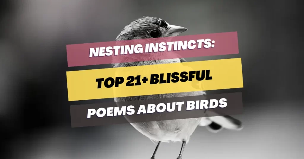 21+ Blissful Poems About Birds – Pick Me Up Poetry