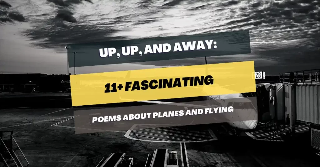 11+ Fascinating Poems About Planes And Flying – Pick Me Up Poetry