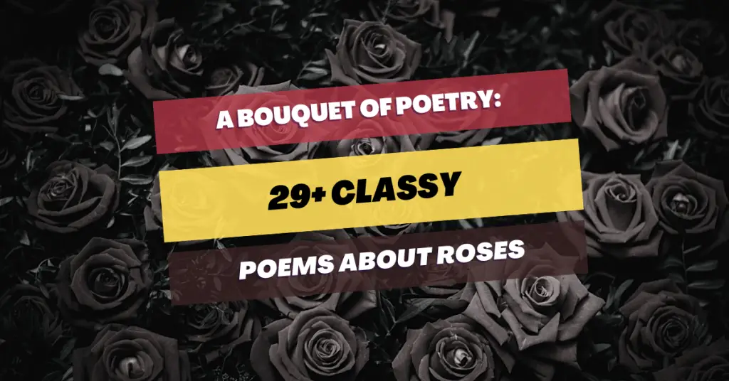 29+ Classy Poems About Roses – Pick Me Up Poetry