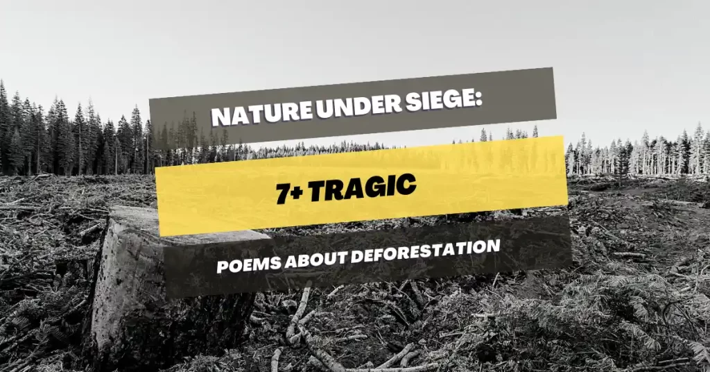 7+ Tragic Poems About Deforestation – Pick Me Up Poetry