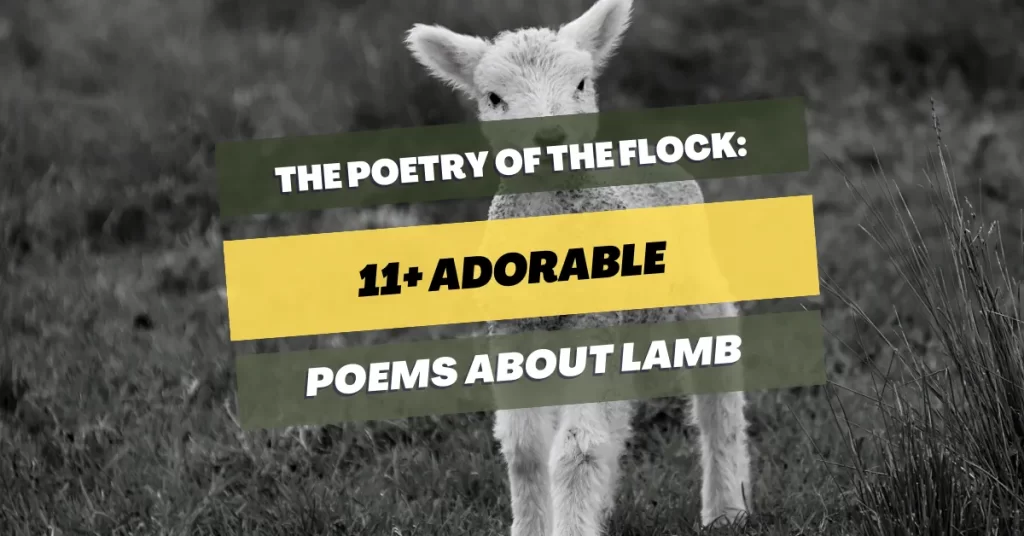 11+ Adorable Poems About Lamb – Pick Me Up Poetry